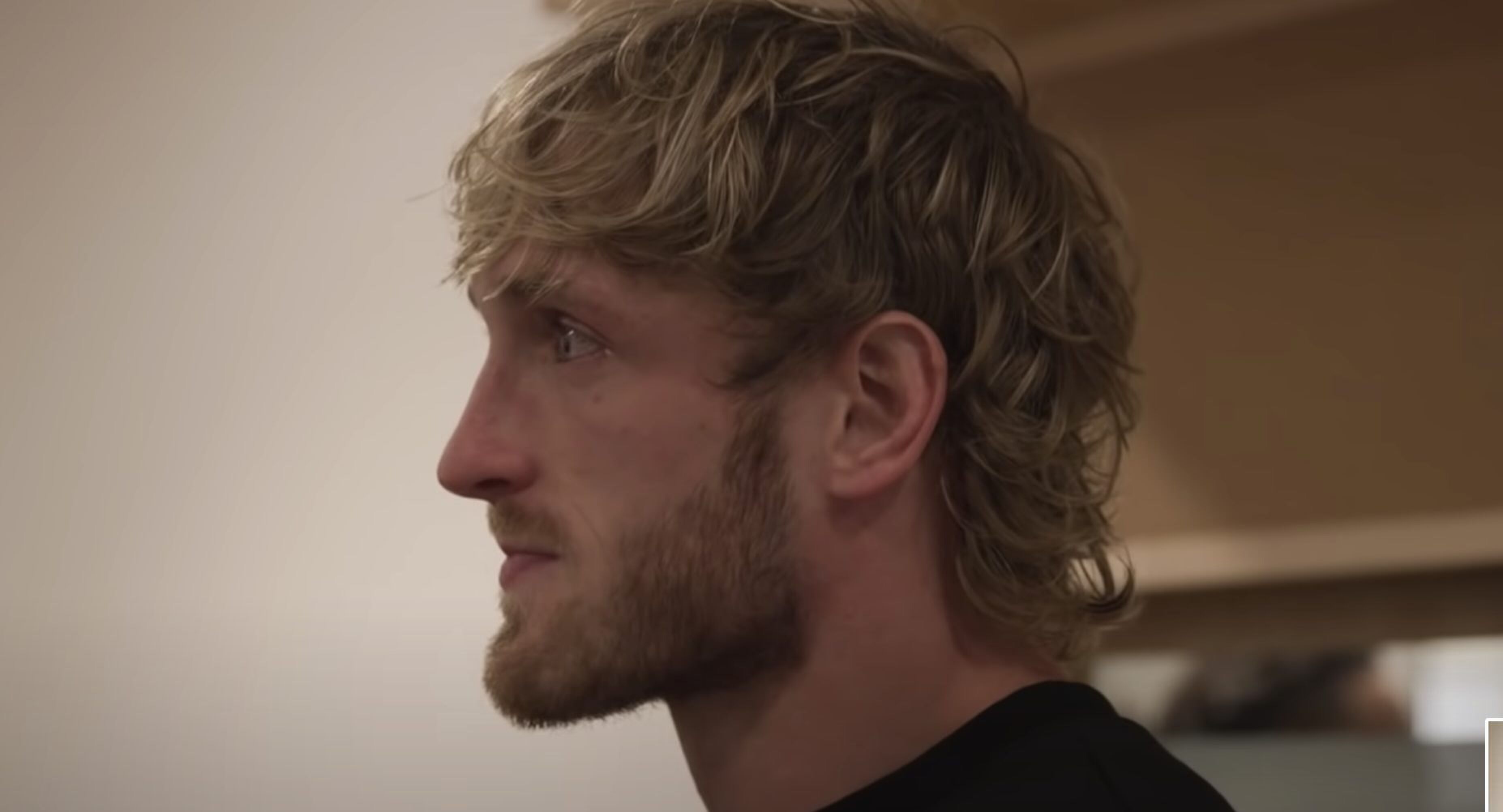 Te koop: designervilla van YouTuber en influencer Logan Paul - PL